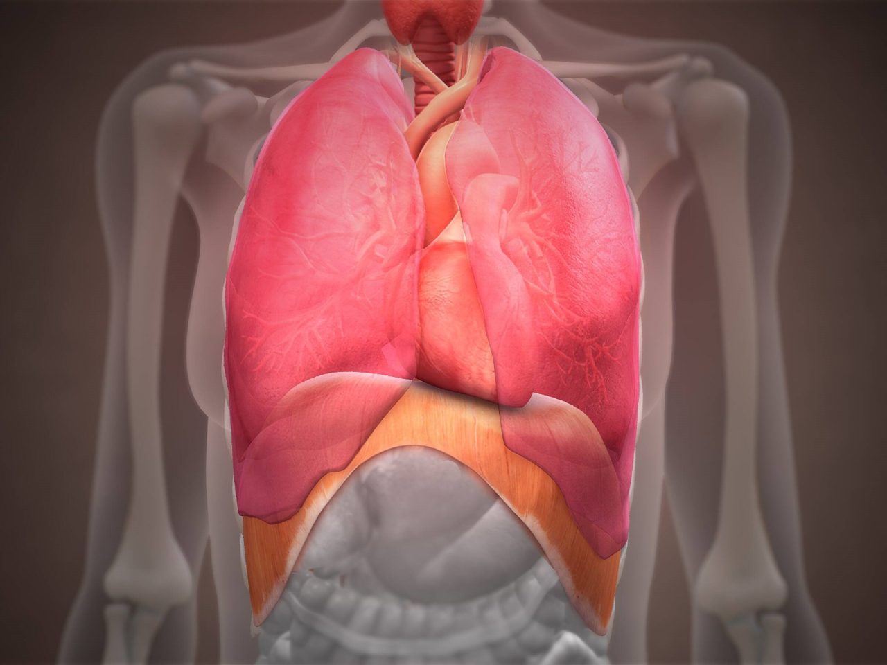 Onbekendheid met verlamd middenrif | Middenrifcentrum.nl